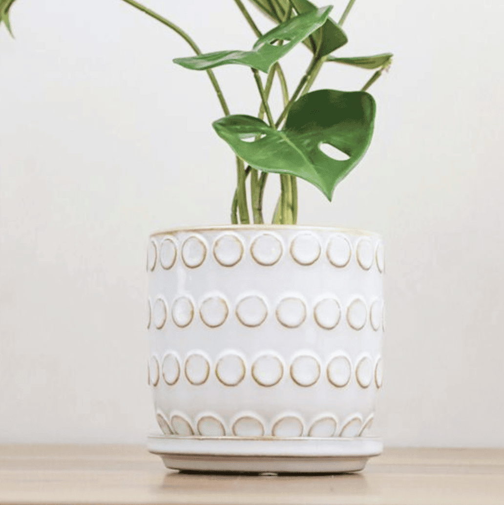 White Dotted Pot – Elegant Textured Ceramic Planter