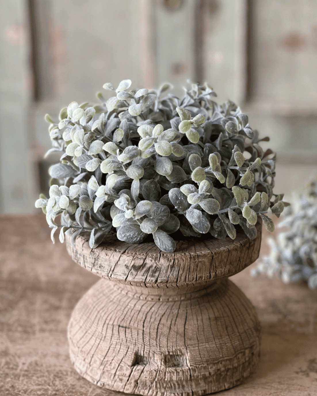 Pebble Eucalyptus Half Sphere - Linabella | Pentwater